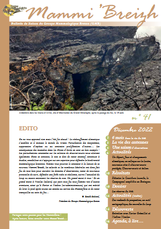 Mammi' Breizh n°41